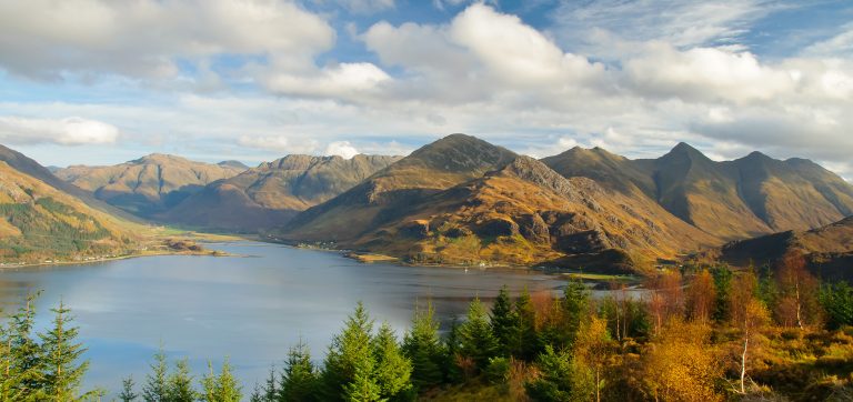 Home - J M Packaging